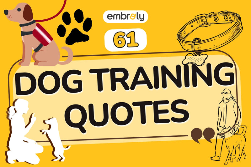 61 Dog Training Quotes to Motivate Every Pet Parent