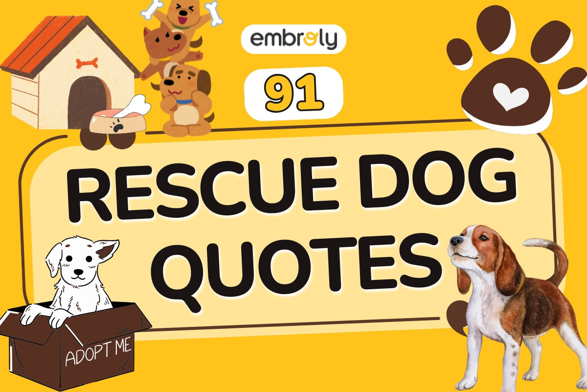 91 Rescue Dog Quotes: From Shelter to Forever Home
